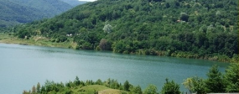 Localitatea din Prahova unde votanții merg cu vaporașul la urne ...