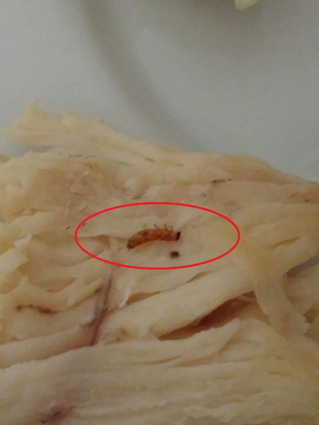 O clientă a găsit un vierme în carnea de pui. Reacția Carrefour ...