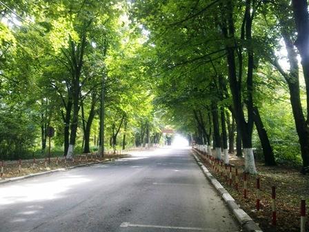 Comisie de anchetă la Parcul Bucov - Observatorul Prahovean