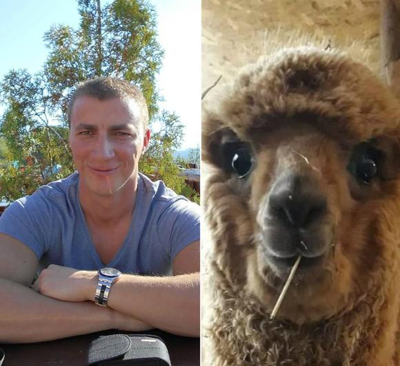 Marian Godină, reacție la scandaul cu alpaca sa în autobuzul RATBV ...