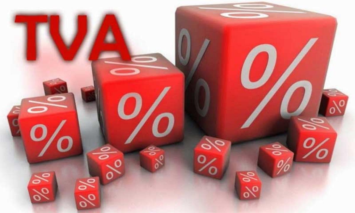 Vot pentru reducerea TVA de la 19 la 16%. Propunerea a fost a ...