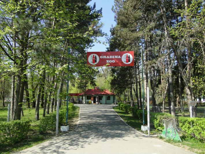 Concurs de angajare, posibil cu dedicație pentru odraslă de deputat, la ...