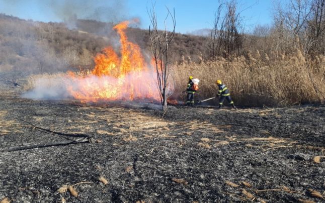 Incendiu pe 120 de hectare în Prahova, la Jugureni. Trei case părăsite ...