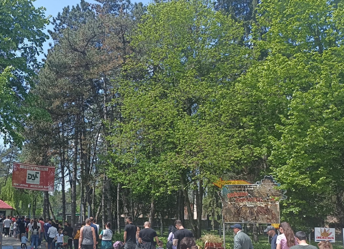 Aglomerație de 1 Mai la Parcul Bucov. Peste 1.000 de ploieșteni au mers ...