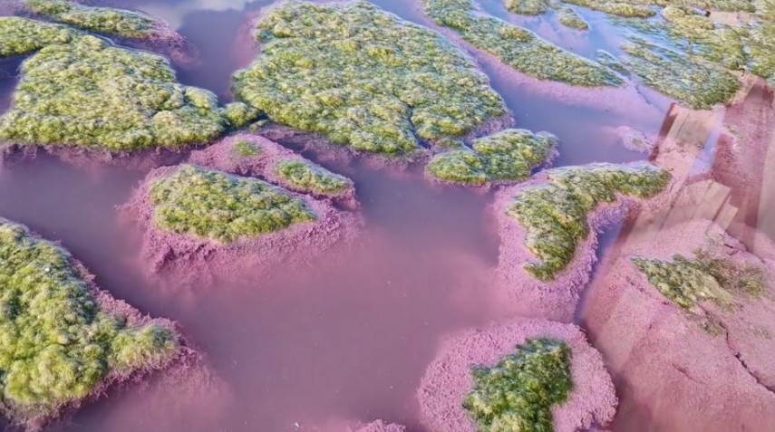Lacul Techirghiol, colorat în roz. Cum se explică fenomenul - VIDEO ...