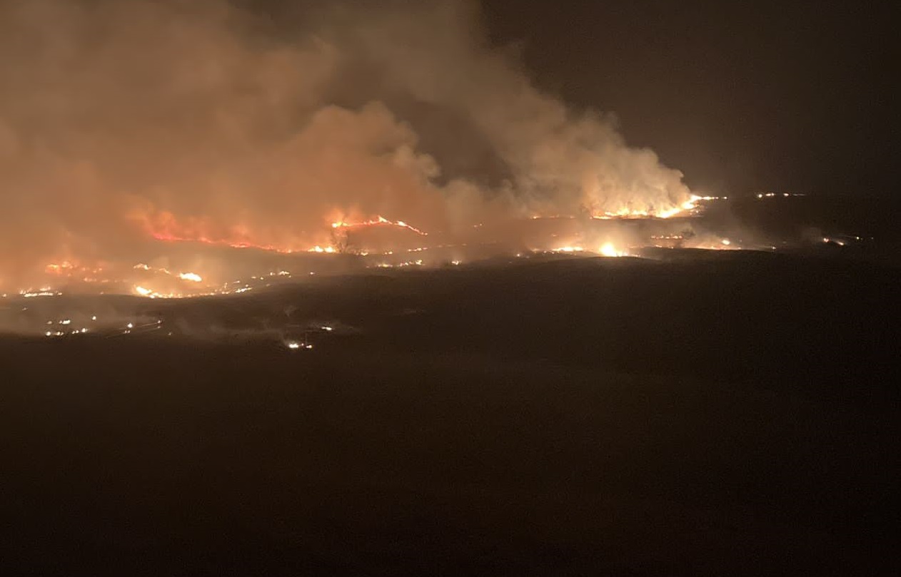 Imagini cu incendiul violent de vegetație uscată de la Jugureni ...