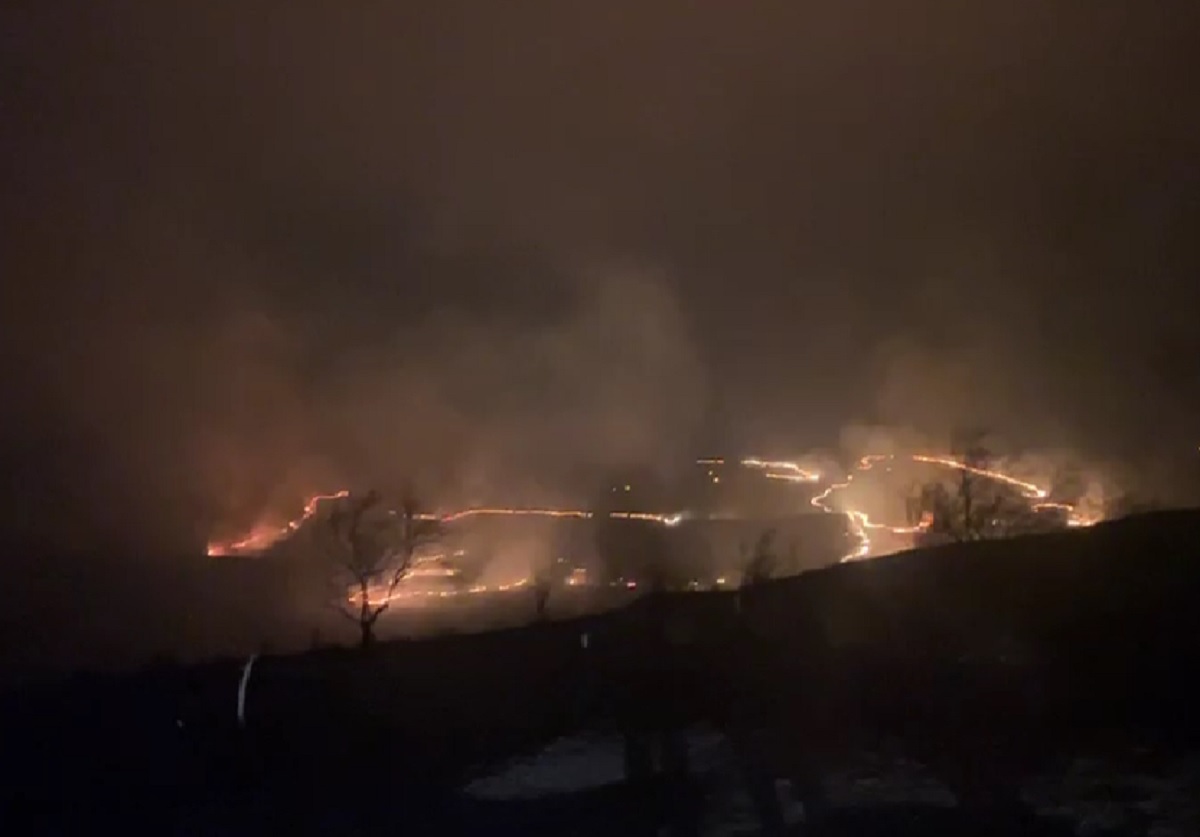 Imagini cu incendiul violent de vegetație uscată de la Jugureni ...