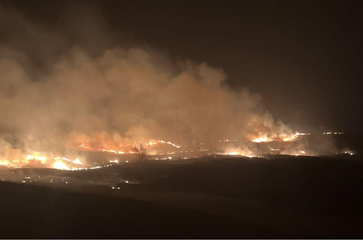 Imagini cu incendiul violent de vegetație uscată de la Jugureni ...
