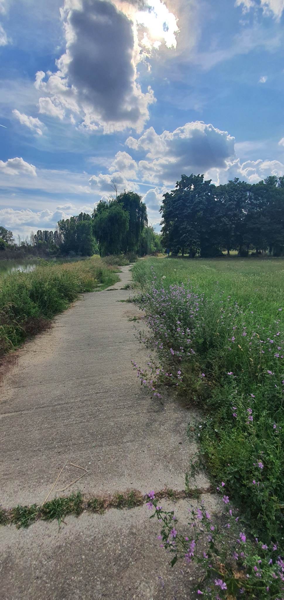 Cândva, Parcul Bucov arăta foarte bine. Acum, arată bine, dar nu se ...