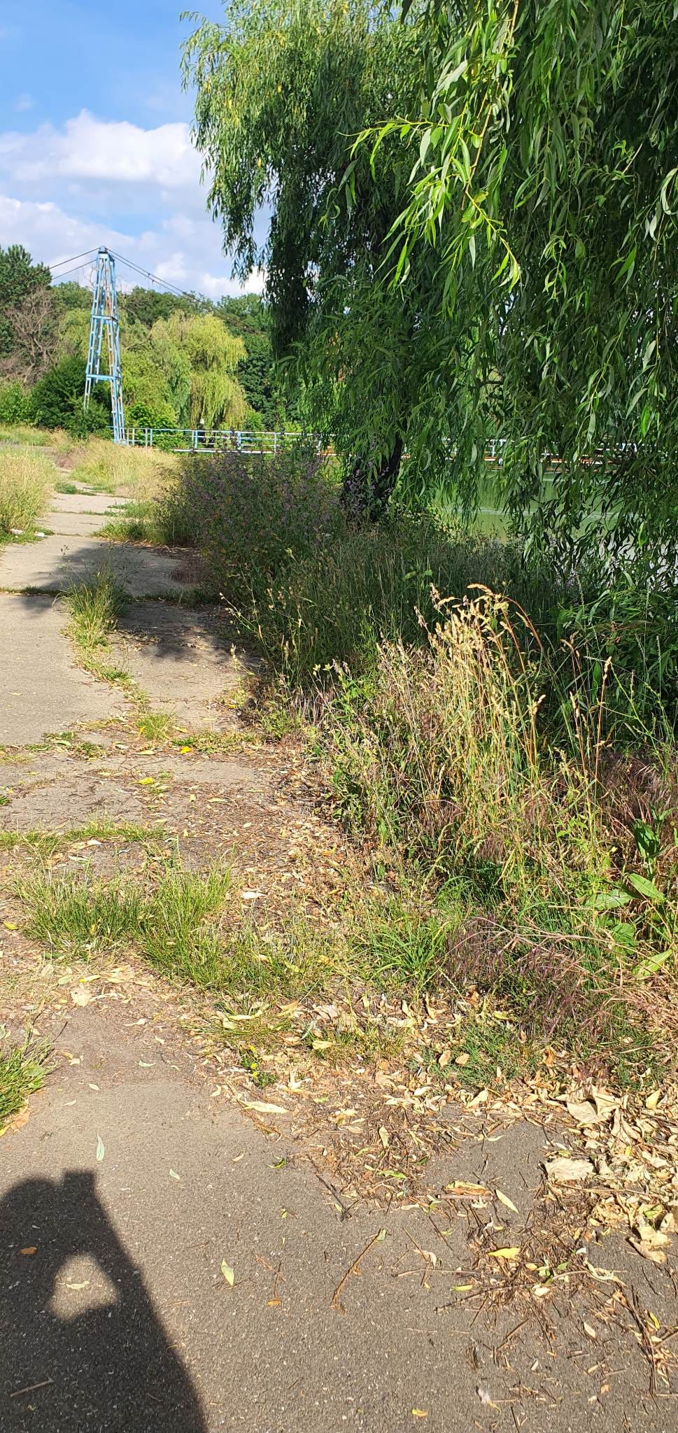 Cândva, Parcul Bucov arăta foarte bine. Acum, arată bine, dar nu se ...