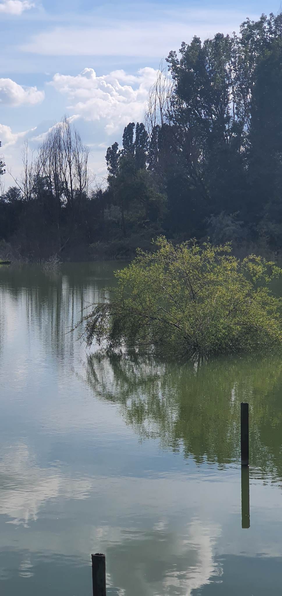 Cândva, Parcul Bucov arăta foarte bine. Acum, arată bine, dar nu se ...