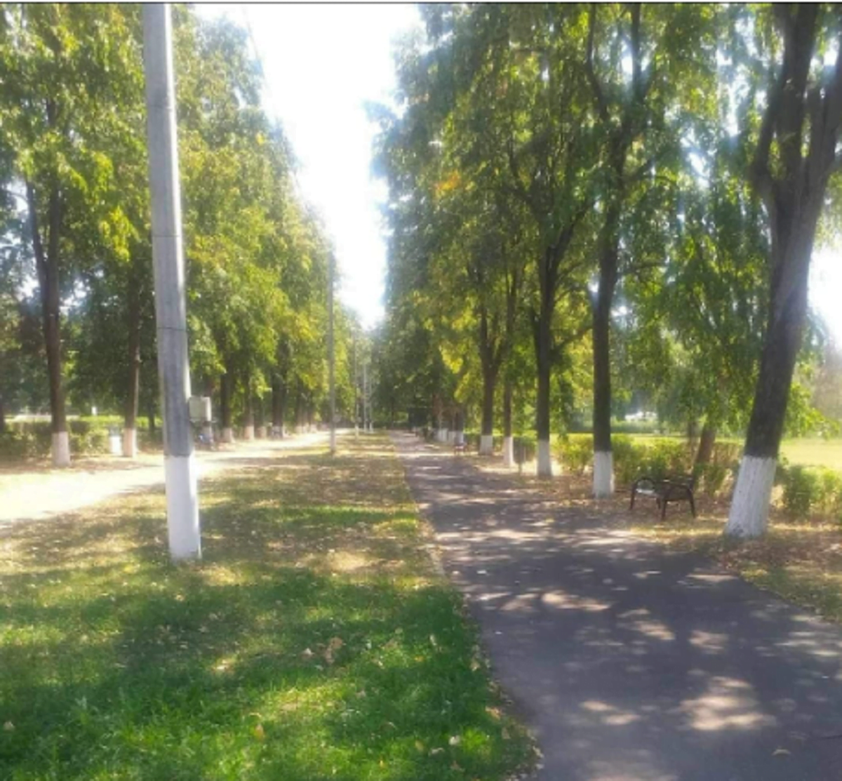 Minivacanța de Sfânta Maria Mare. Invitație la picnic, la plajă și la ...