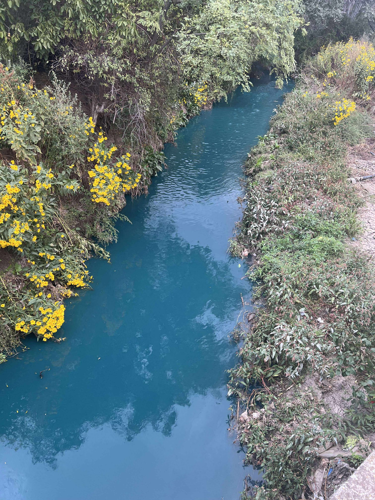 Dâmbu și-a schimbat culoarea în albastru marin. Nu e curat, e doar ...